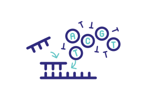 Sanger Sequencing – ACGT