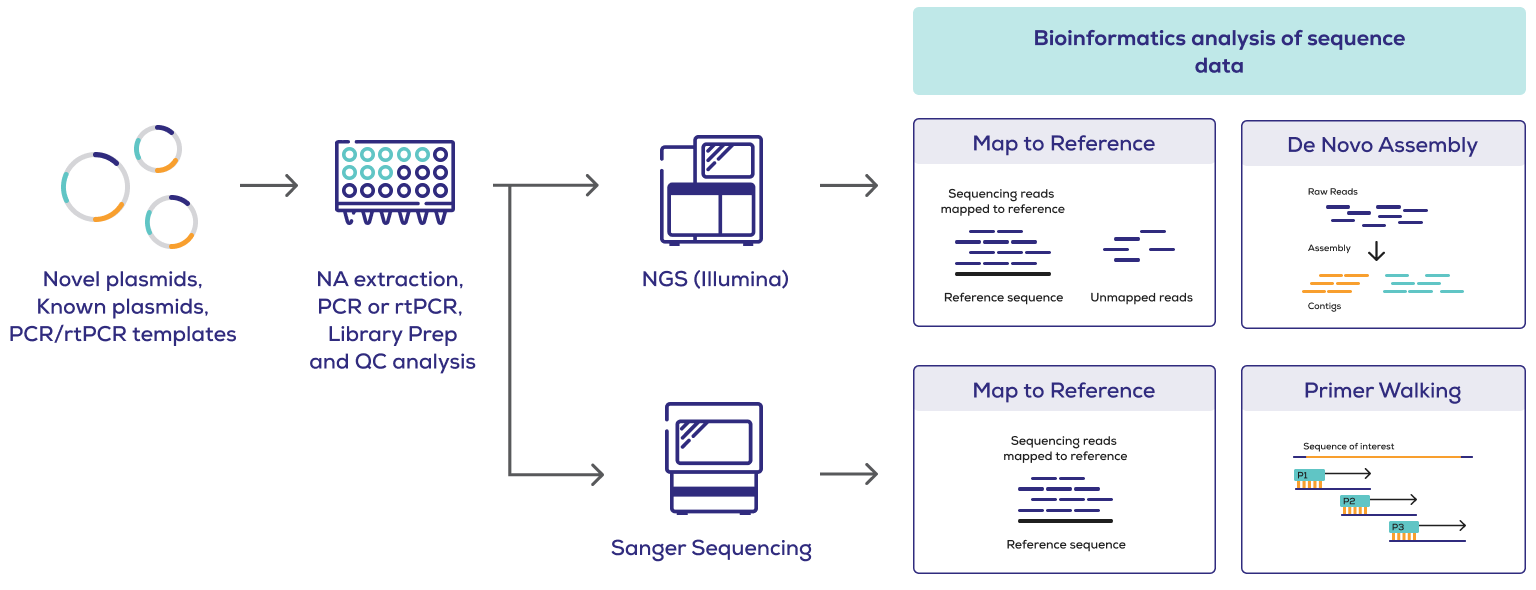 Target Sequence Characterization – ACGT