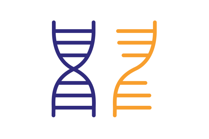 Transcriptomics & Gene Expression Analysis – ACGT