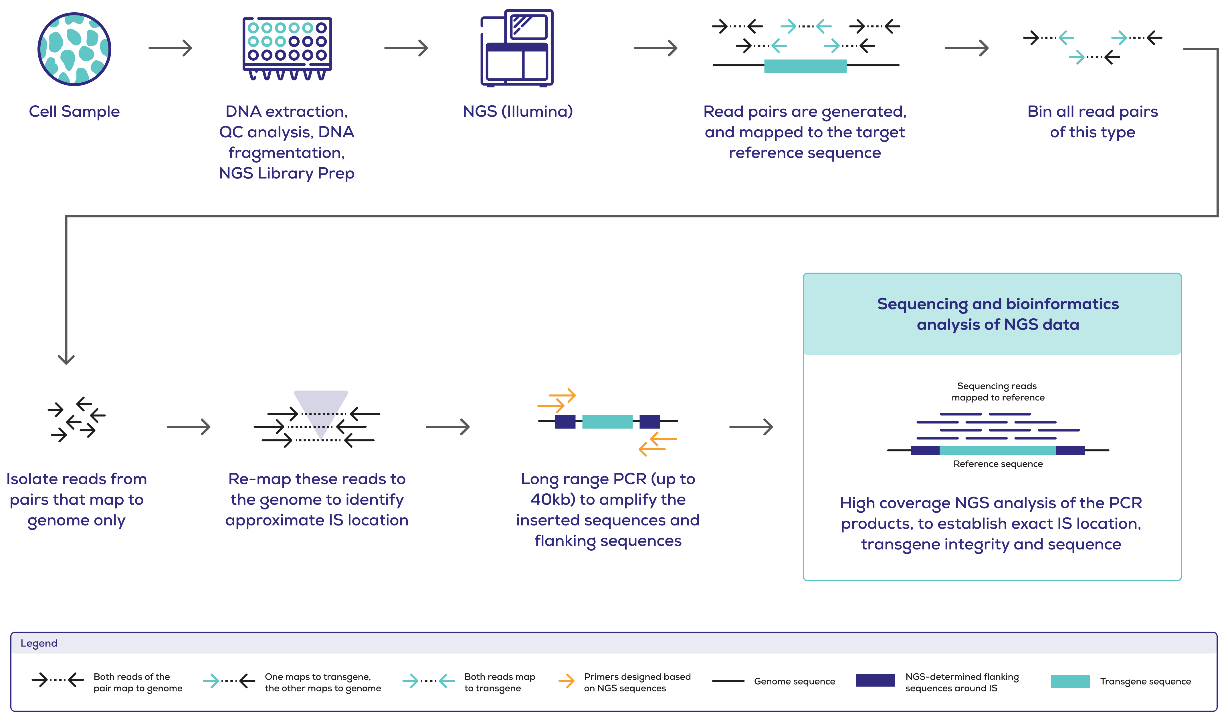 Transgenic Sequence Insertion Site Analysis – ACGT