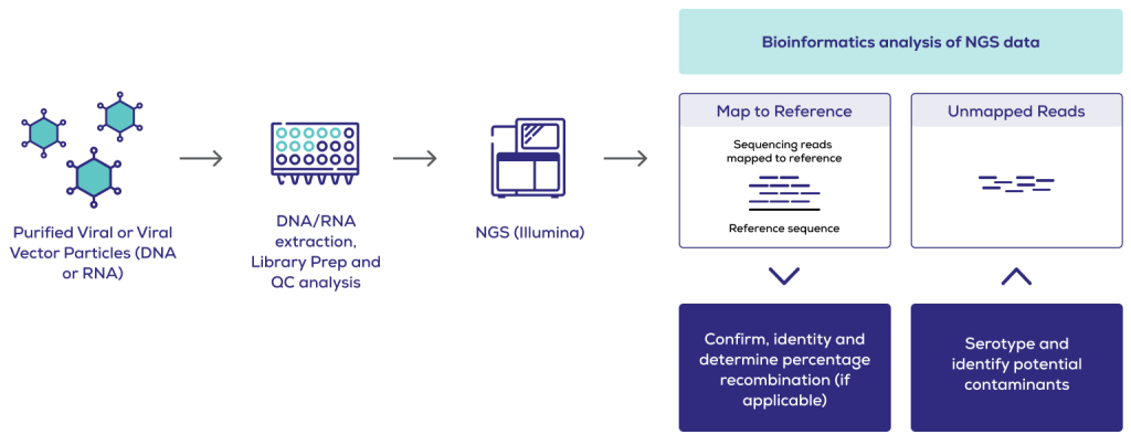 Viral Genome Sequence Analysis – ACGT